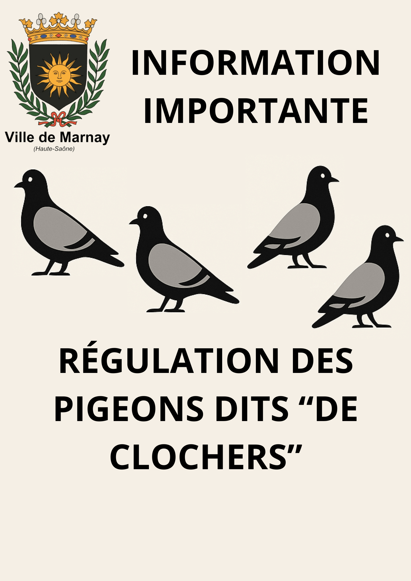 Régulation des pigeons "de clochers" - Mairie de Marnay